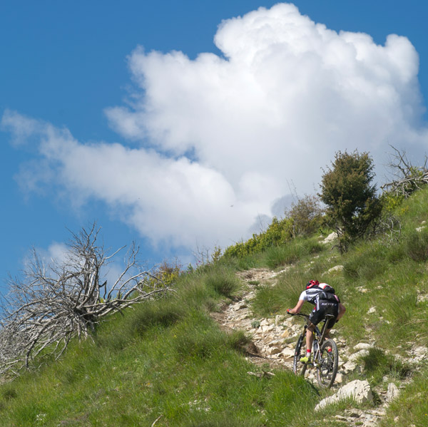 L'UCC prépare une nouvelle Trans...