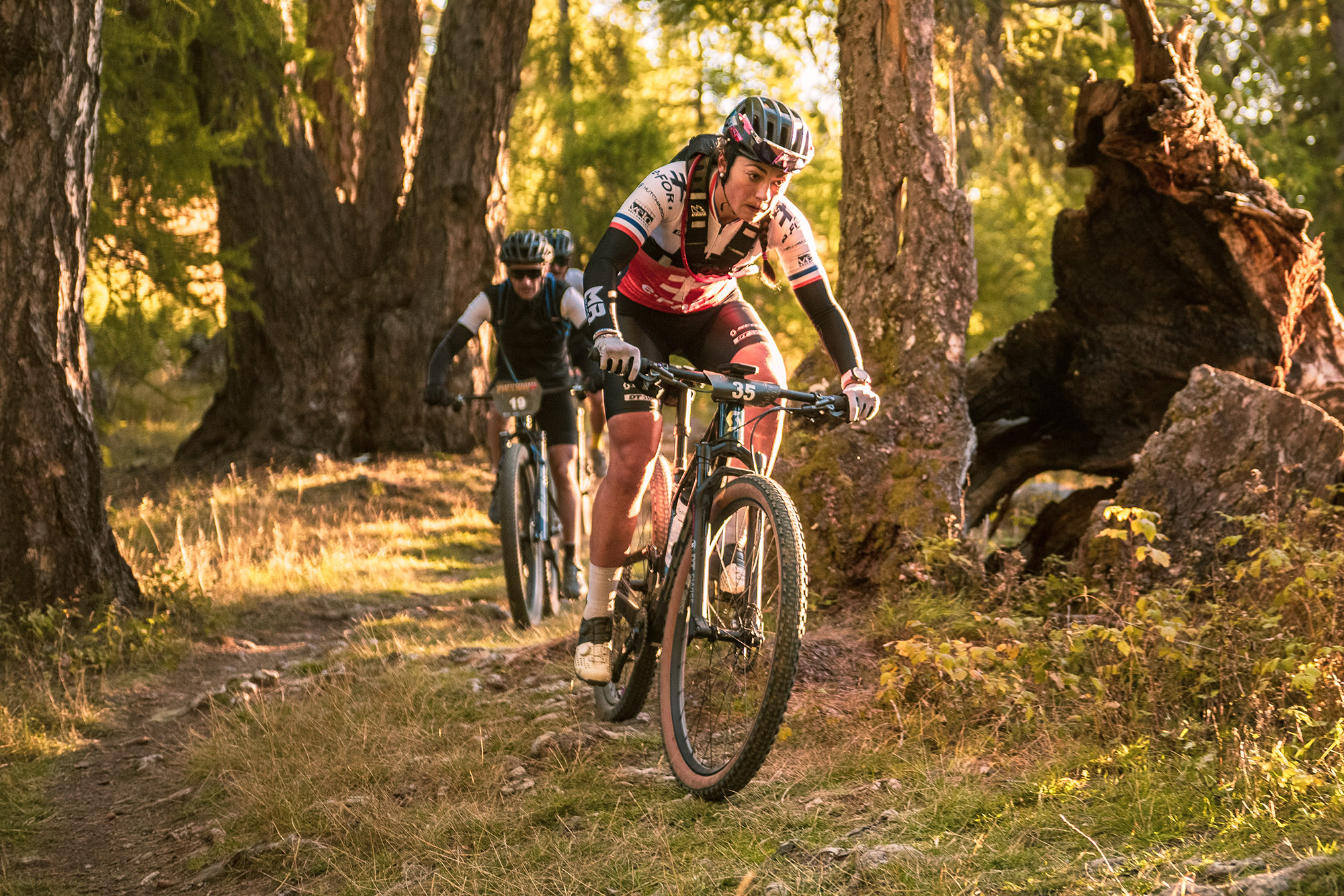 Résultats Transvésubienne 2025